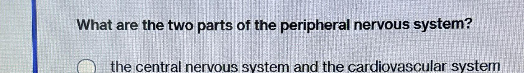 Solved What are the two parts of the peripheral nervous | Chegg.com