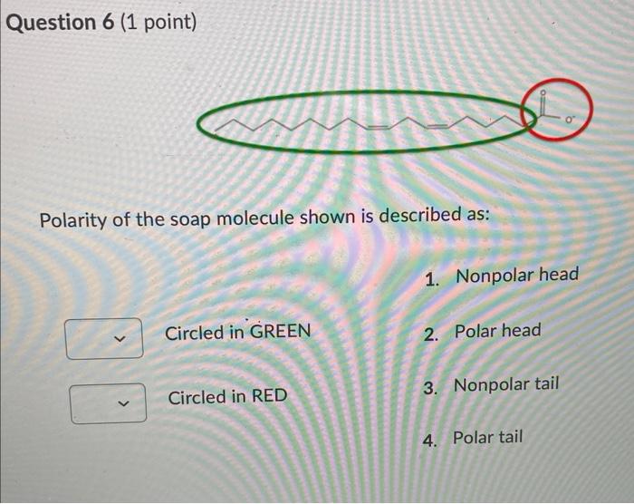 Solved Question 6 (1 point) Polarity of the soap molecule | Chegg.com