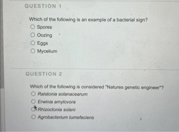 Solved Which of the following is an example of a bacterial | Chegg.com