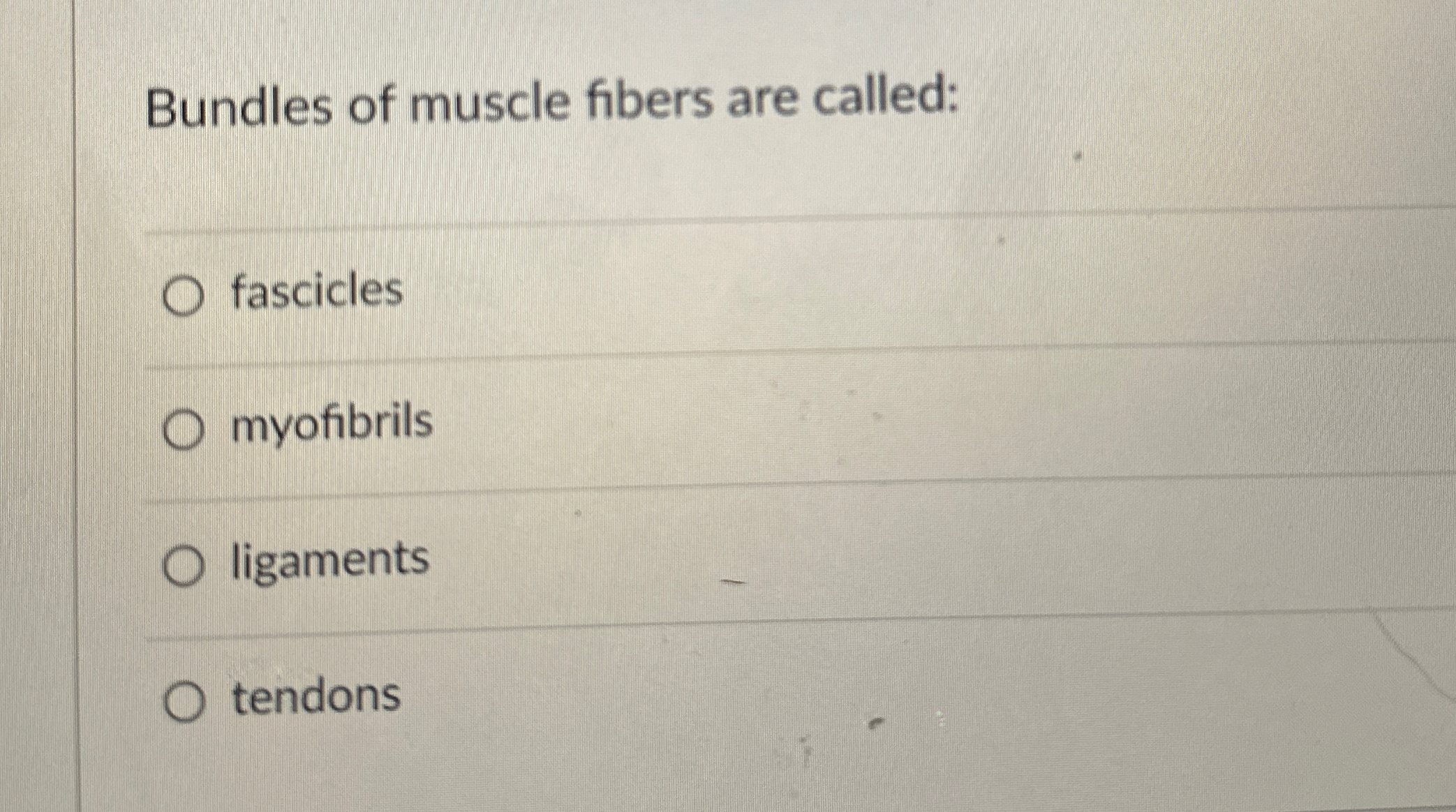 Solved Bundles of muscle fibers are | Chegg.com