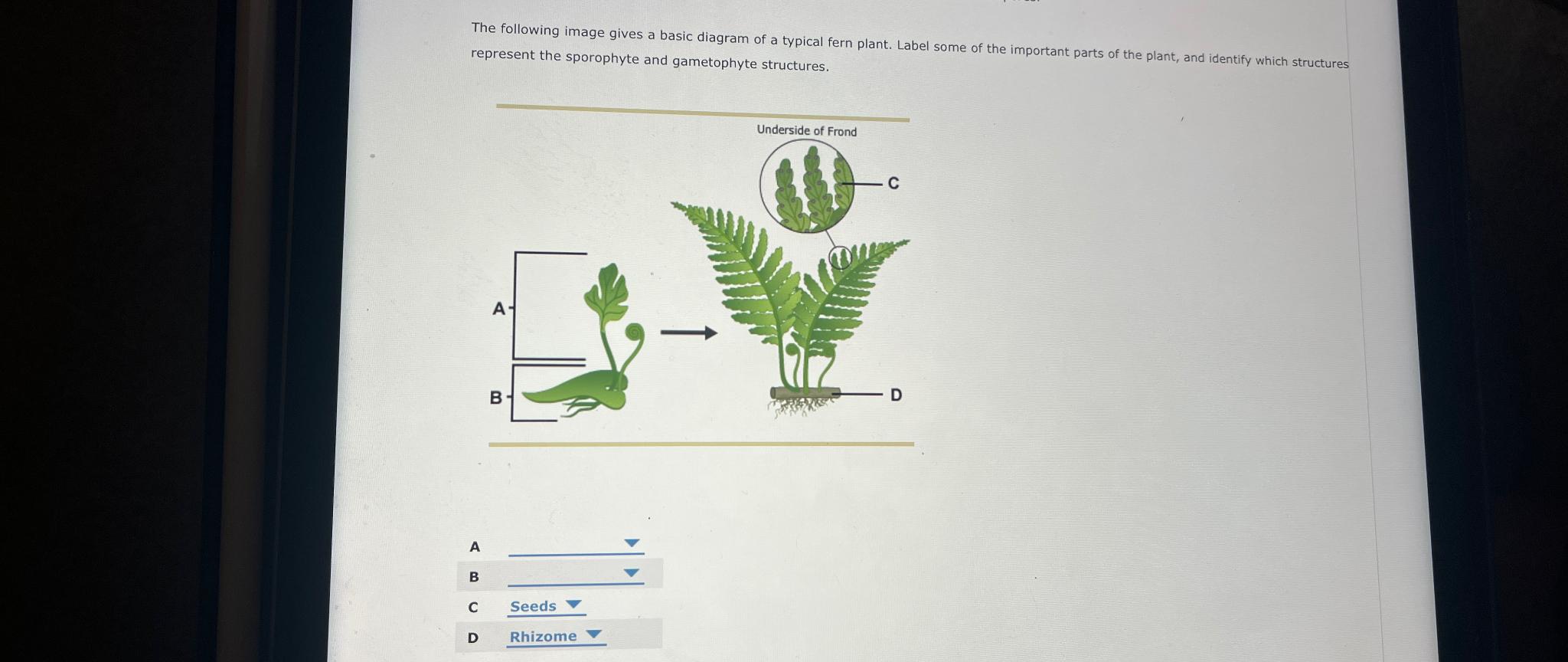 Solved The following image gives a basic diagram of a | Chegg.com