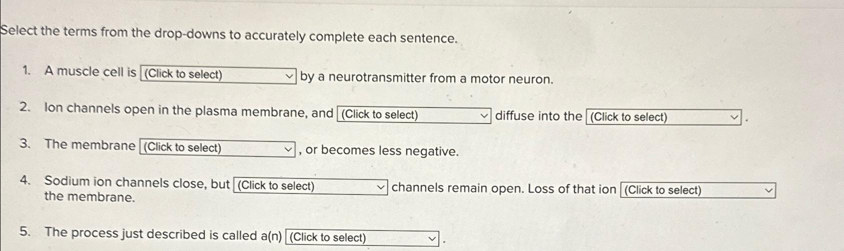 Solved Select the terms from the drop-downs to accurately | Chegg.com