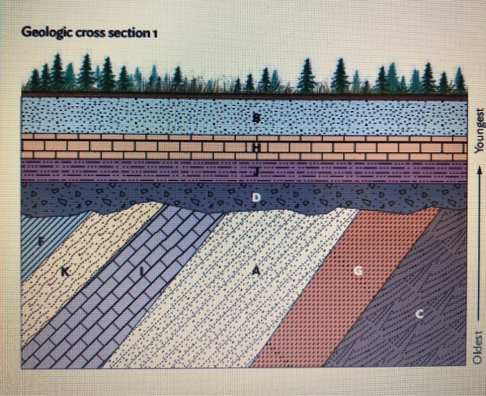 Solved EXERCISE 12.6 Dating Rocks by Overlapping Fossil | Chegg.com