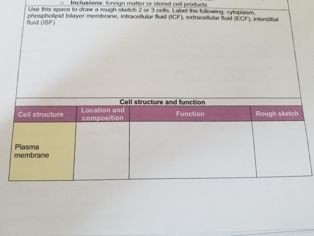 Solved Inclusions: foreign matter or stored cell products | Chegg.com