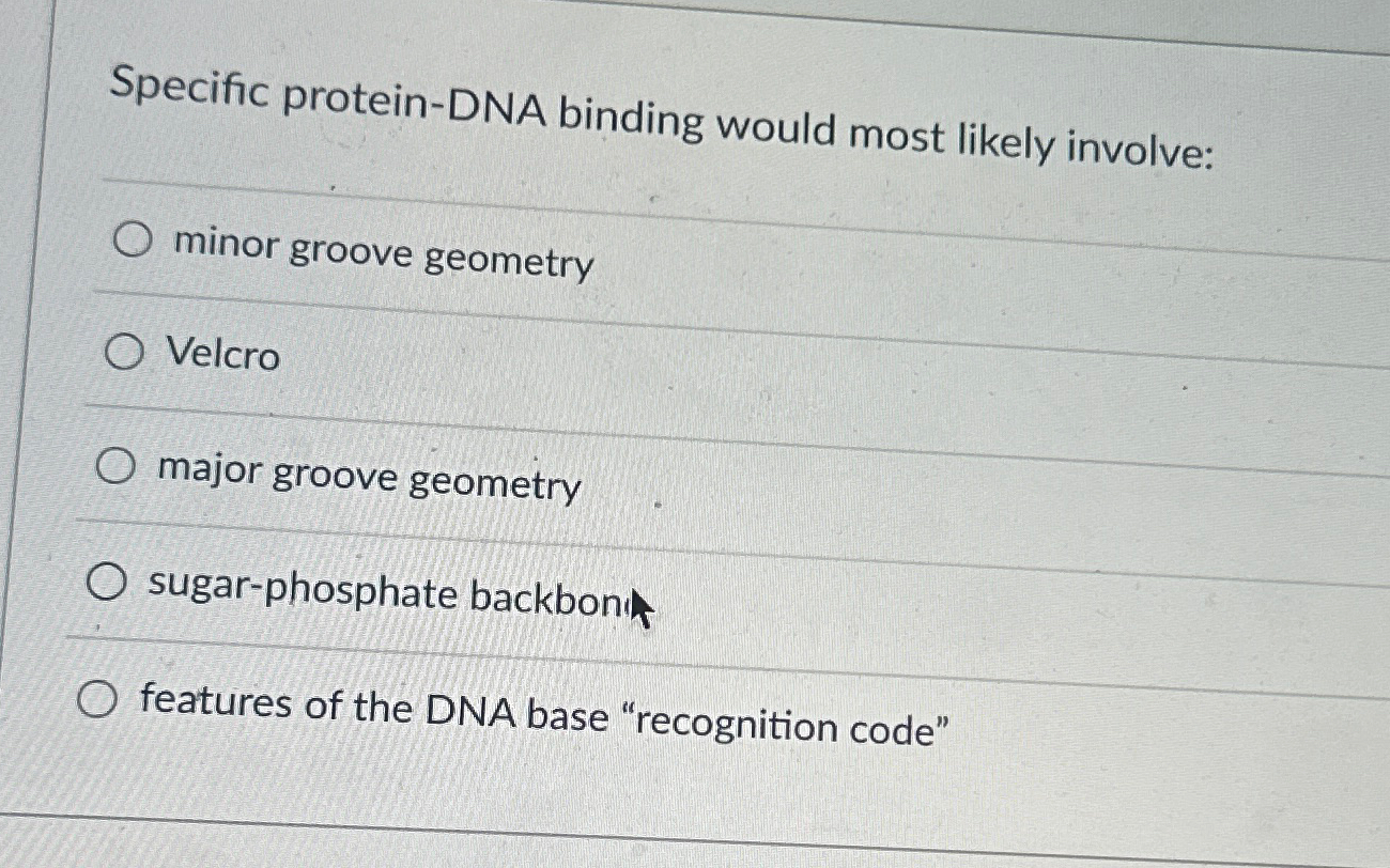 Solved Specific protein-DNA binding would most likely | Chegg.com
