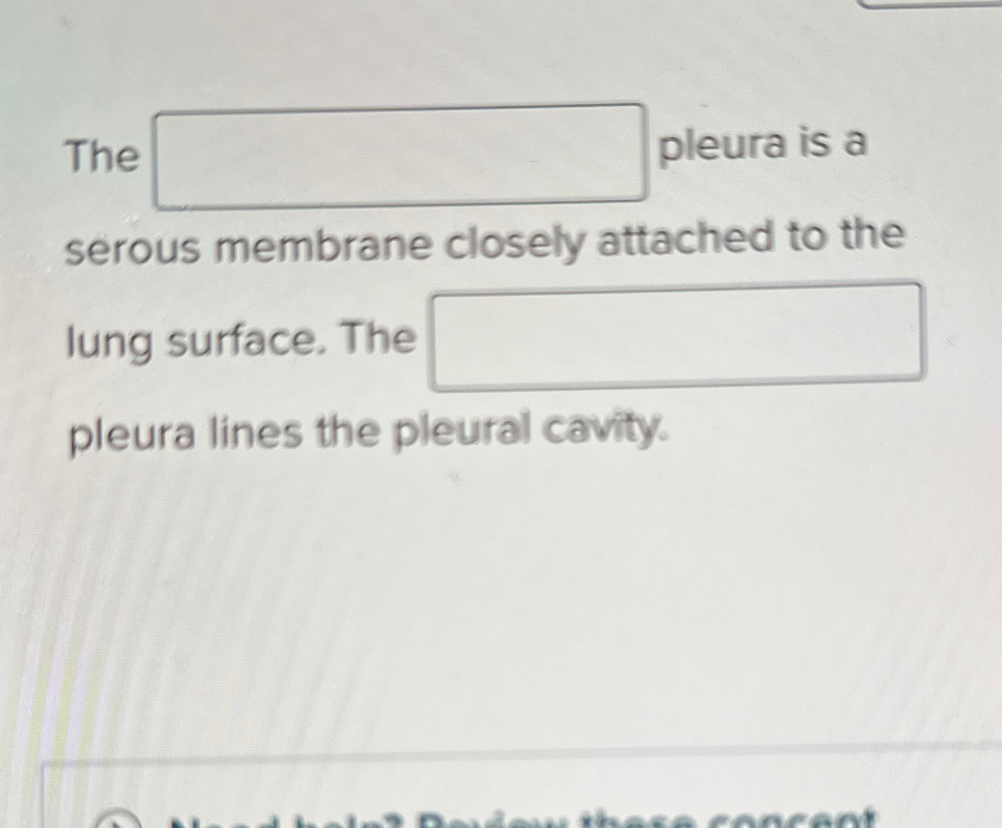 Solved The pleura is a serous membrane closely attached to | Chegg.com