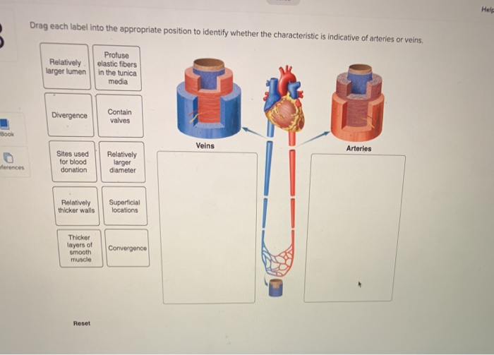 Solved Help Drag each label into the appropriate position to | Chegg.com
