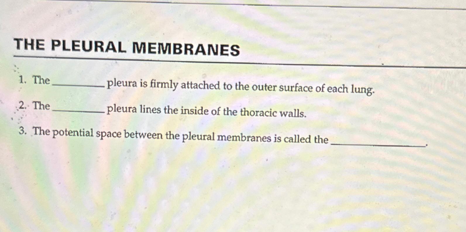 Solved THE PLEURAL MEMBRANESThe pleura is firmly attached to | Chegg.com