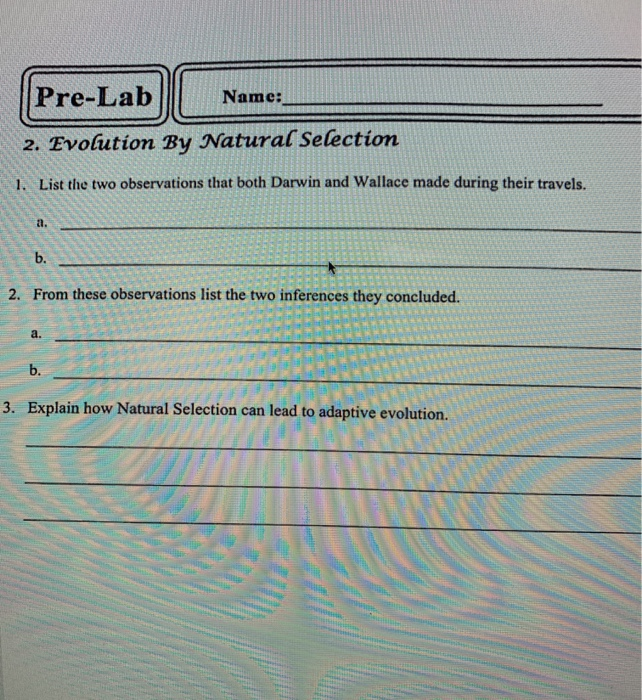 Solved Pre-Lab Name: 2. Evolution By Natural Selection 1. | Chegg.com