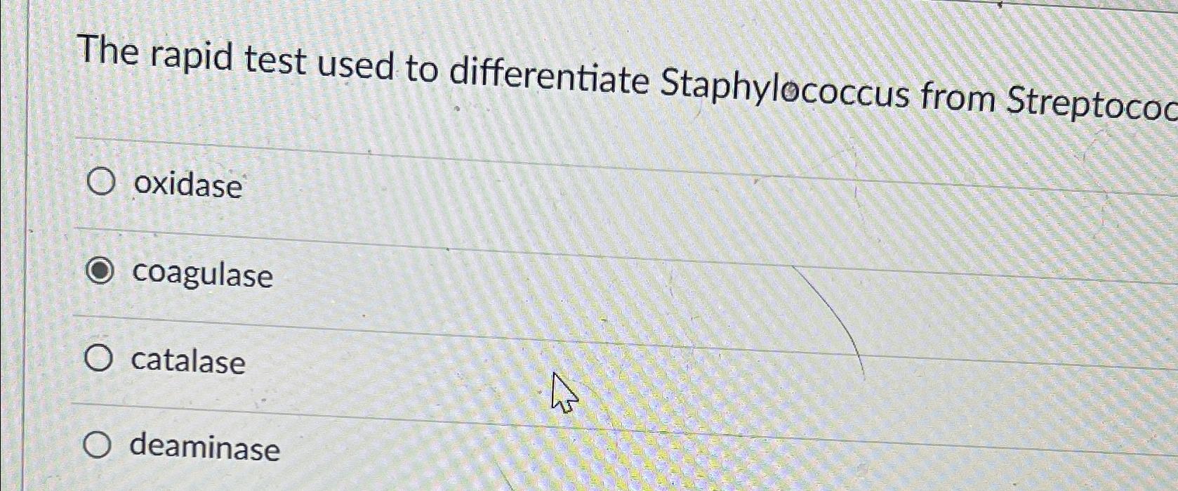 Solved The rapid test used to differentiate Staphylococcus | Chegg.com