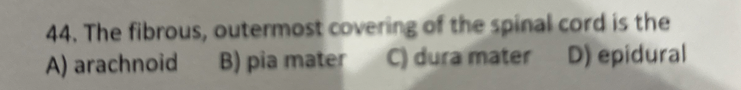 Solved The fibrous, outermost covering of the spinal cord is | Chegg.com