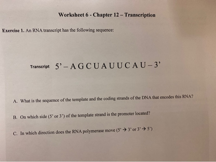 Solved Worksheet 6 - Chapter 12 - Transcription Exercise 1. | Chegg.com
