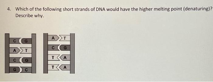Solved 4. Which of the following short strands of DNA would | Chegg.com