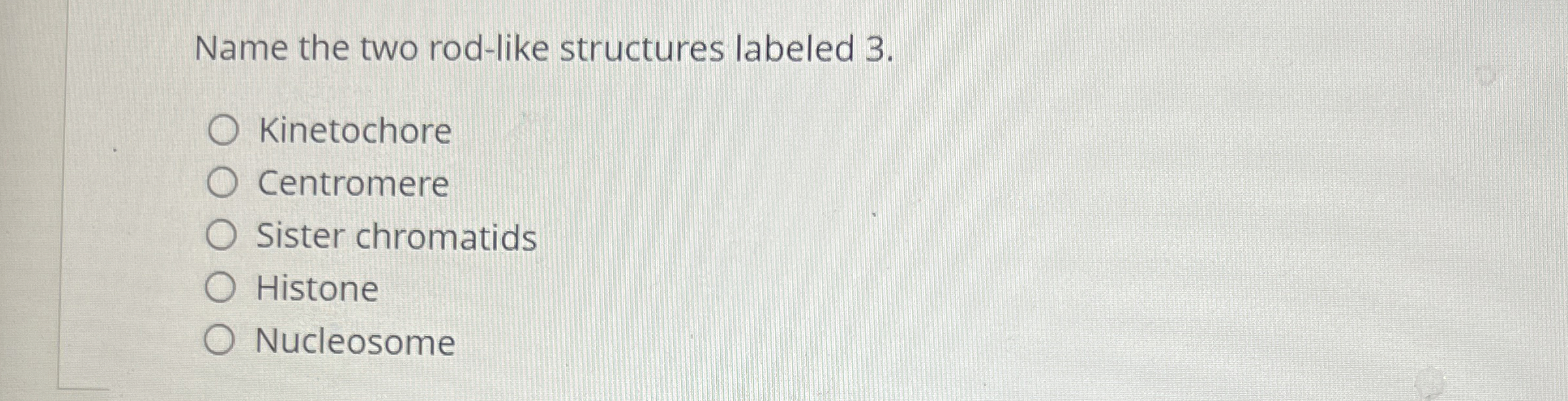 Solved Name the two rod-like structures labeled | Chegg.com
