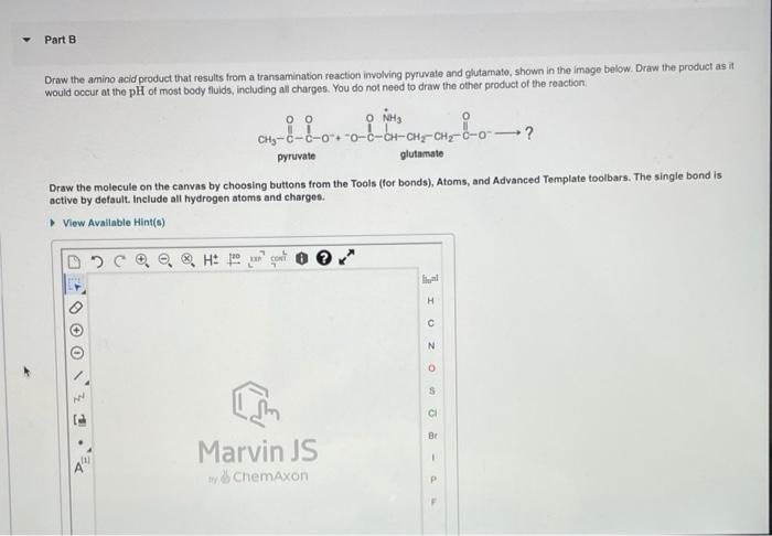 Solved Part B Draw the amino acid product that results from | Chegg.com
