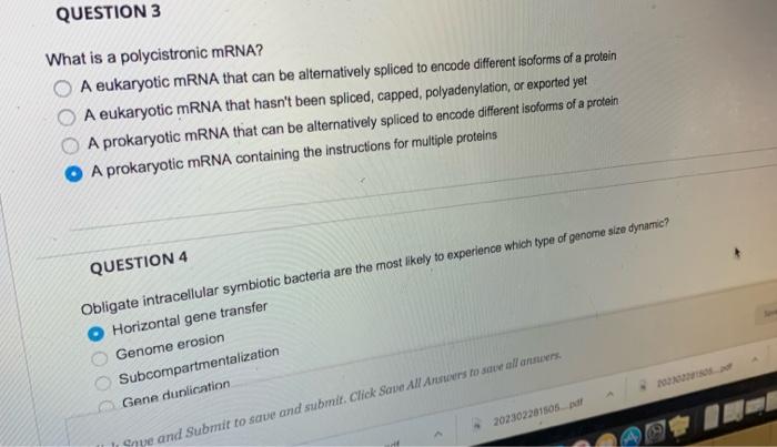 Solved What is a polycistronic mRNA? A eukaryotic mRNA that | Chegg.com