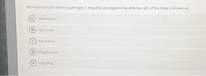 Solved The entire process where a pathogen is engulfed and | Chegg.com