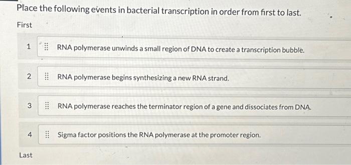 Solved Place the following events in bacterial transcription | Chegg.com