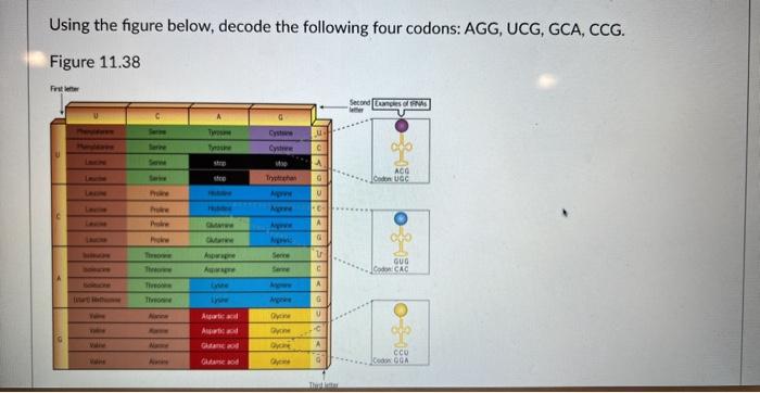 Solved Using the figure below, decode the following four | Chegg.com
