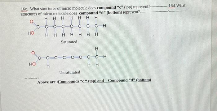 Solved 16c. What structures of micro molecule does compound | Chegg.com