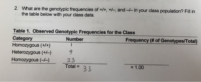 Solved 2. What are the genotypic frequencies of +/+, +/-, | Chegg.com