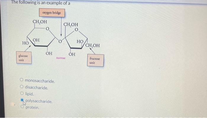 Solved The following is an example of a oxygen bridge CH,OH | Chegg.com