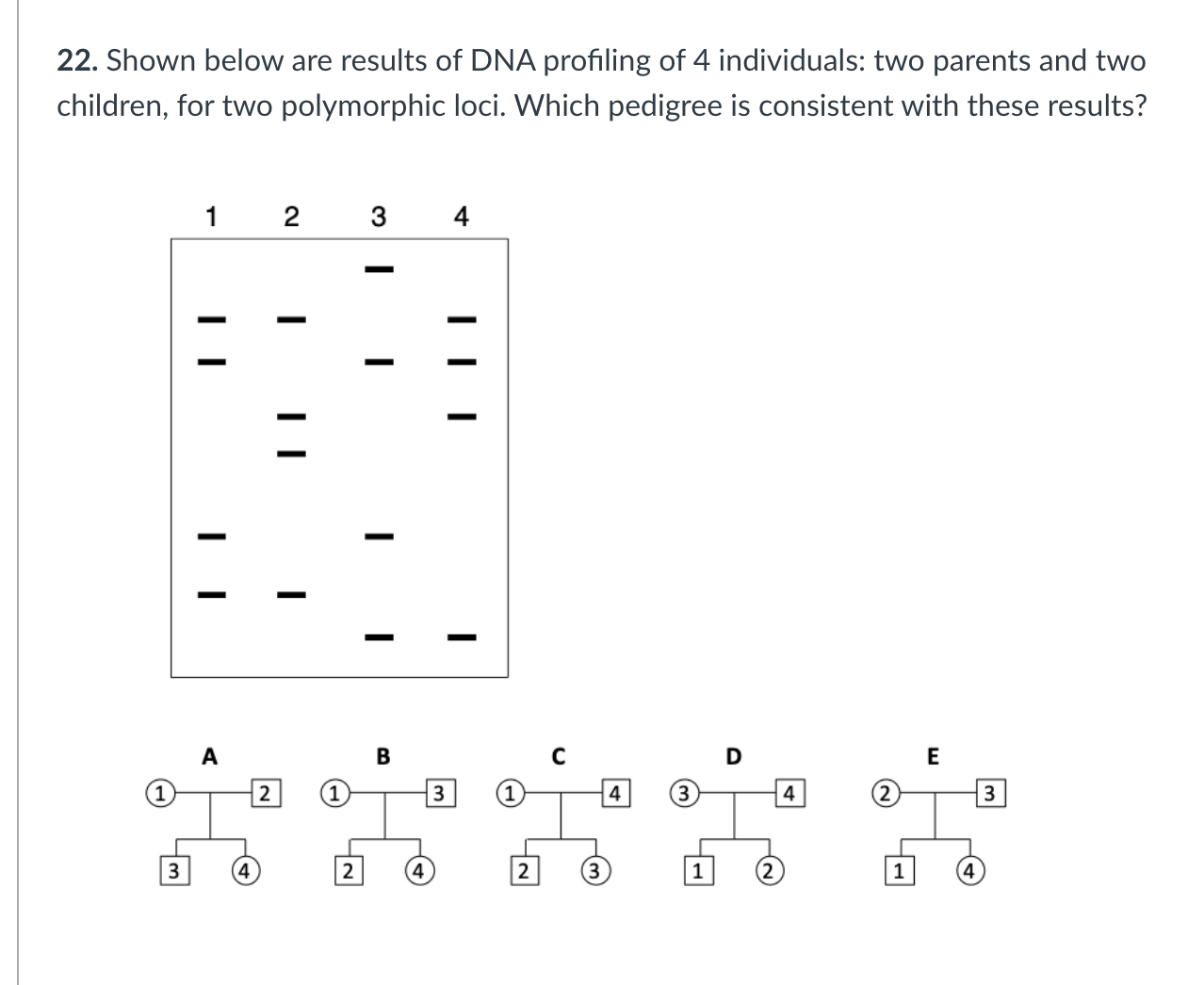 Solved Shown below are results of DNA profiling of 4 | Chegg.com