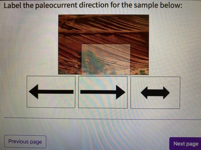 Solved Label the paleocurrent direction for the sample | Chegg.com