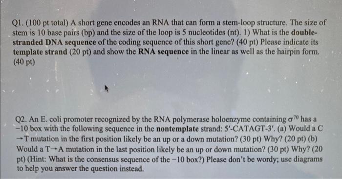 Solved Q1. ( 100pt total) A short gene encodes an RNA that | Chegg.com