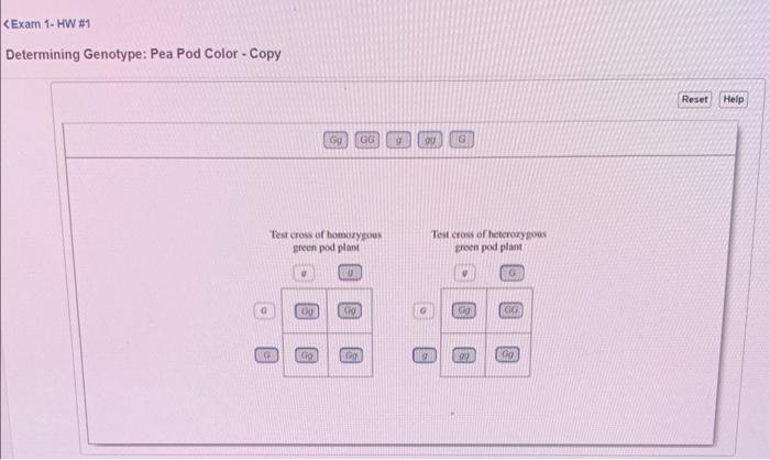 Solved Determining Genotype: Pea Pod Color - Copy | Chegg.com