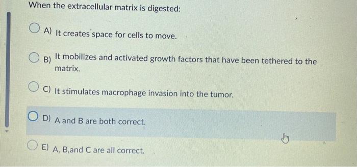 Solved When the extracellular matrix is digested: A) It | Chegg.com