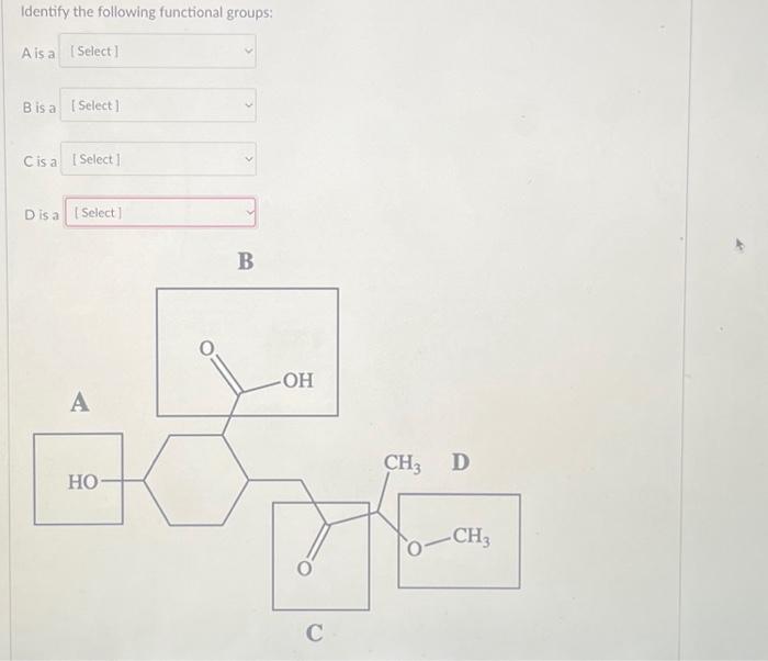 Solved Identify the following functional groups: A is a | Chegg.com