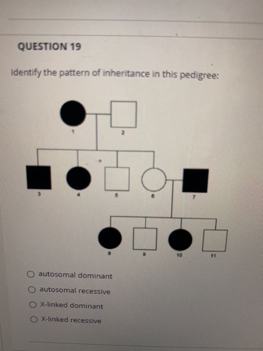Solved QUESTION 19 Identify the pattern of inheritance in | Chegg.com