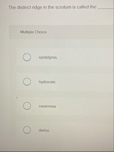 The distinct ridge in the scrotum is called | Chegg.com