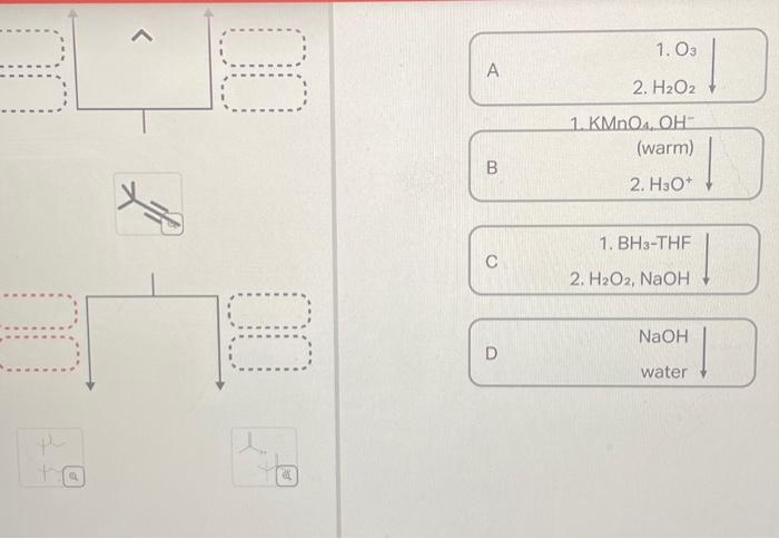 Solved A common alkyne starting material is shown below. | Chegg.com