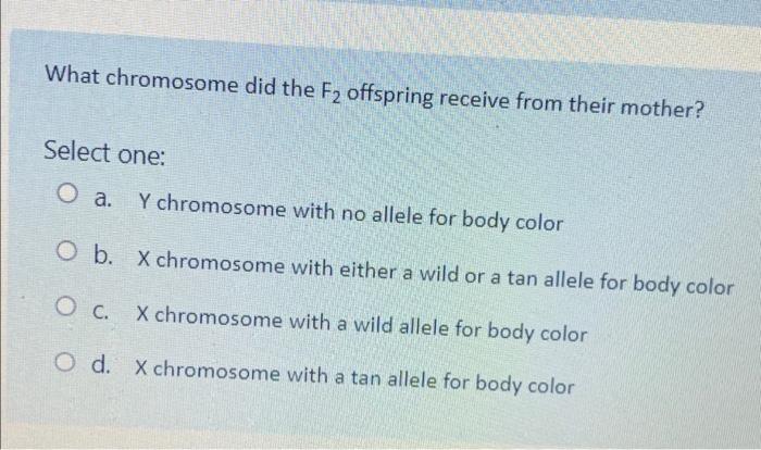 What chromosome did the F2 offspring receive from | Chegg.com