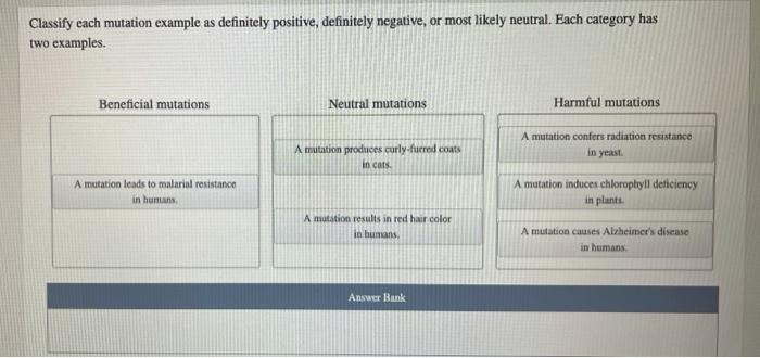 Solved Classify cach mutation example as definitely | Chegg.com