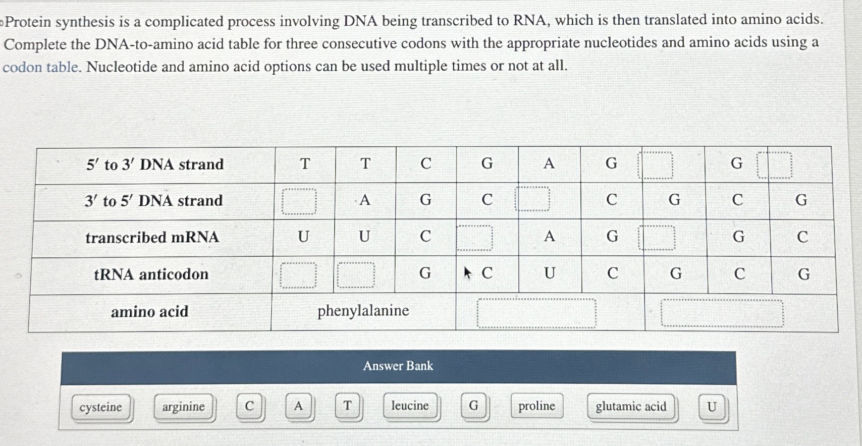 Solved Protein synthesis is a complicated process involving | Chegg.com