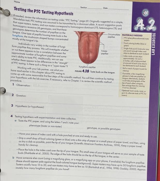 Name Testing the PTC Tasting Hypothesis Section Dale | Chegg.com