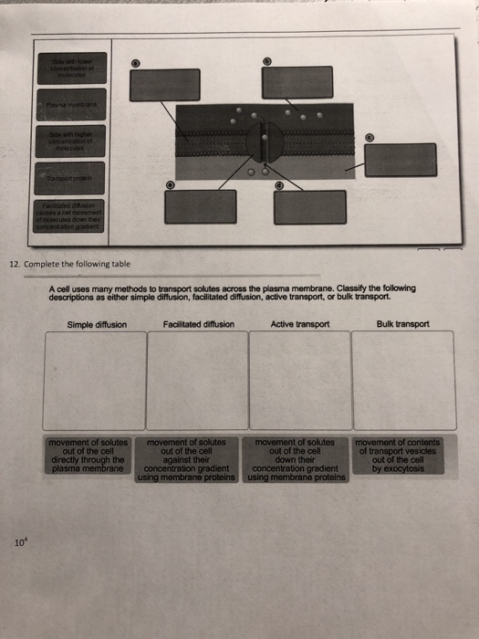 Solved To sort don 12. Complete the following table A cell | Chegg.com