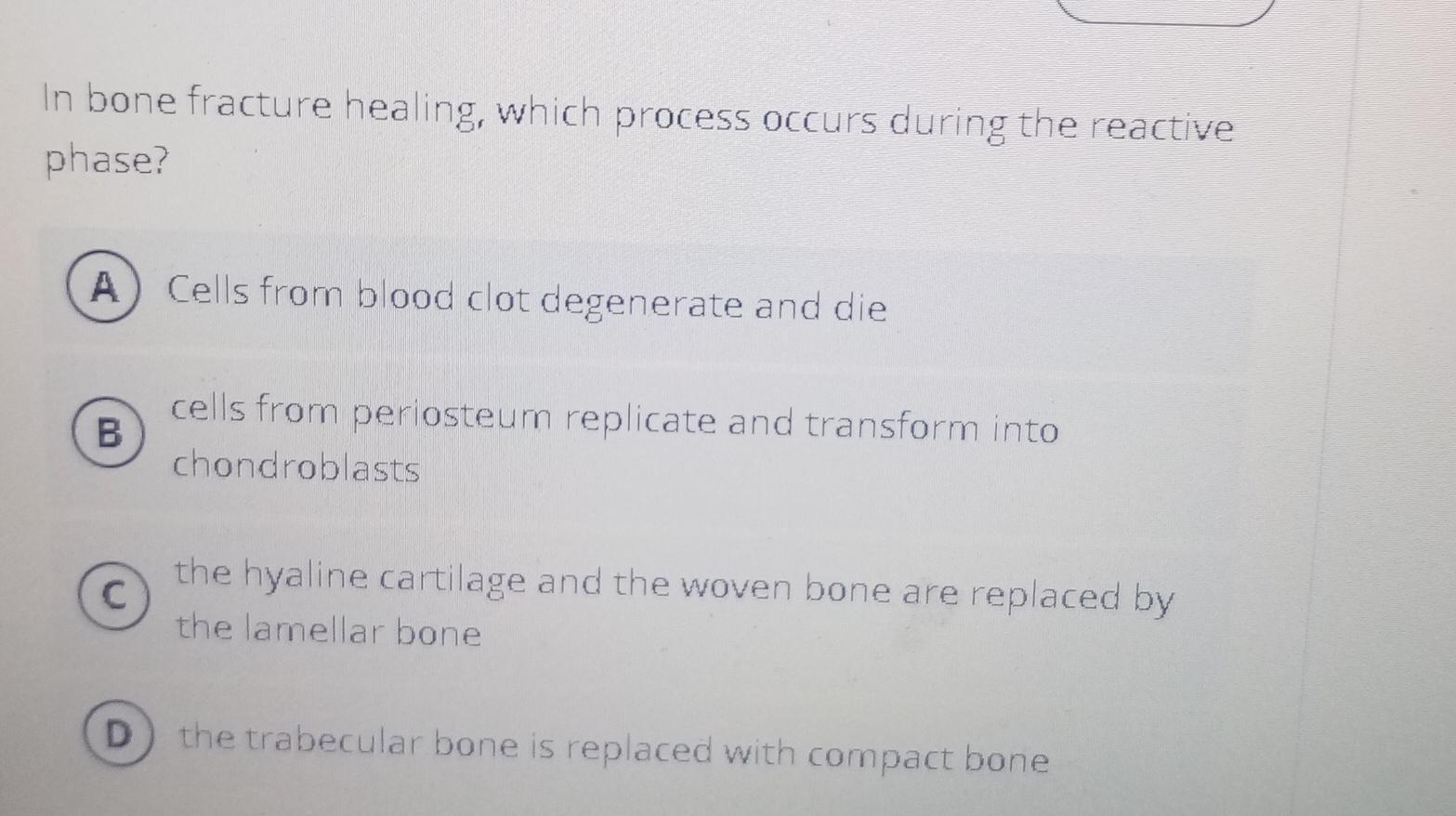 Solved In bone fracture healing, which process occurs during | Chegg.com