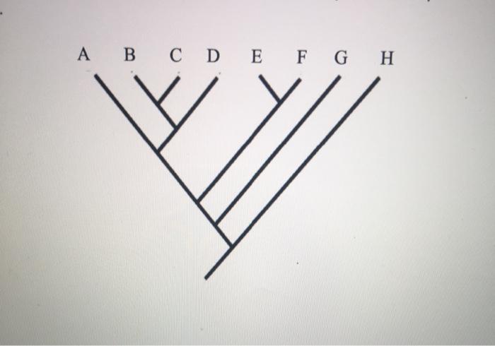 Solved Draw a tree with right angles that represents the | Chegg.com