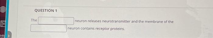Solved QUESTION 1 The neuron releases neurotransmitter and | Chegg.com