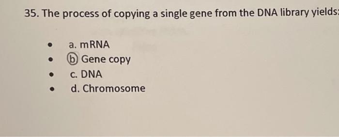 Solved 35. The process of copying a single gene from the DNA | Chegg.com