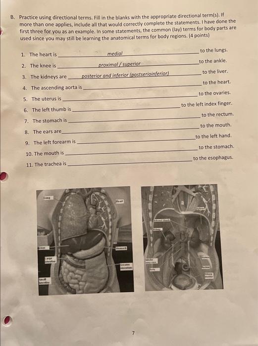 [Solved]: Practice using directional terms. Fill in the bla