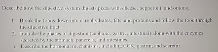Solved Describe how the digestive system digests pizza with | Chegg.com