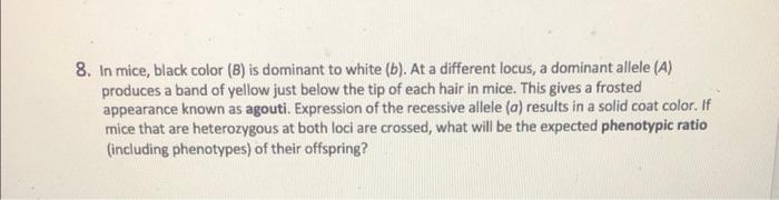 Solved 8 In Mice Black Color B Is Dominant To White B