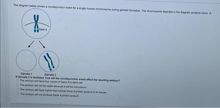 Solved The diagram below shows a nondisjunction event for a | Chegg.com