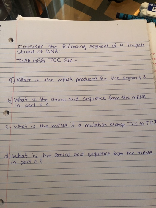Solved following segment of a consider the strand of DNA: | Chegg.com