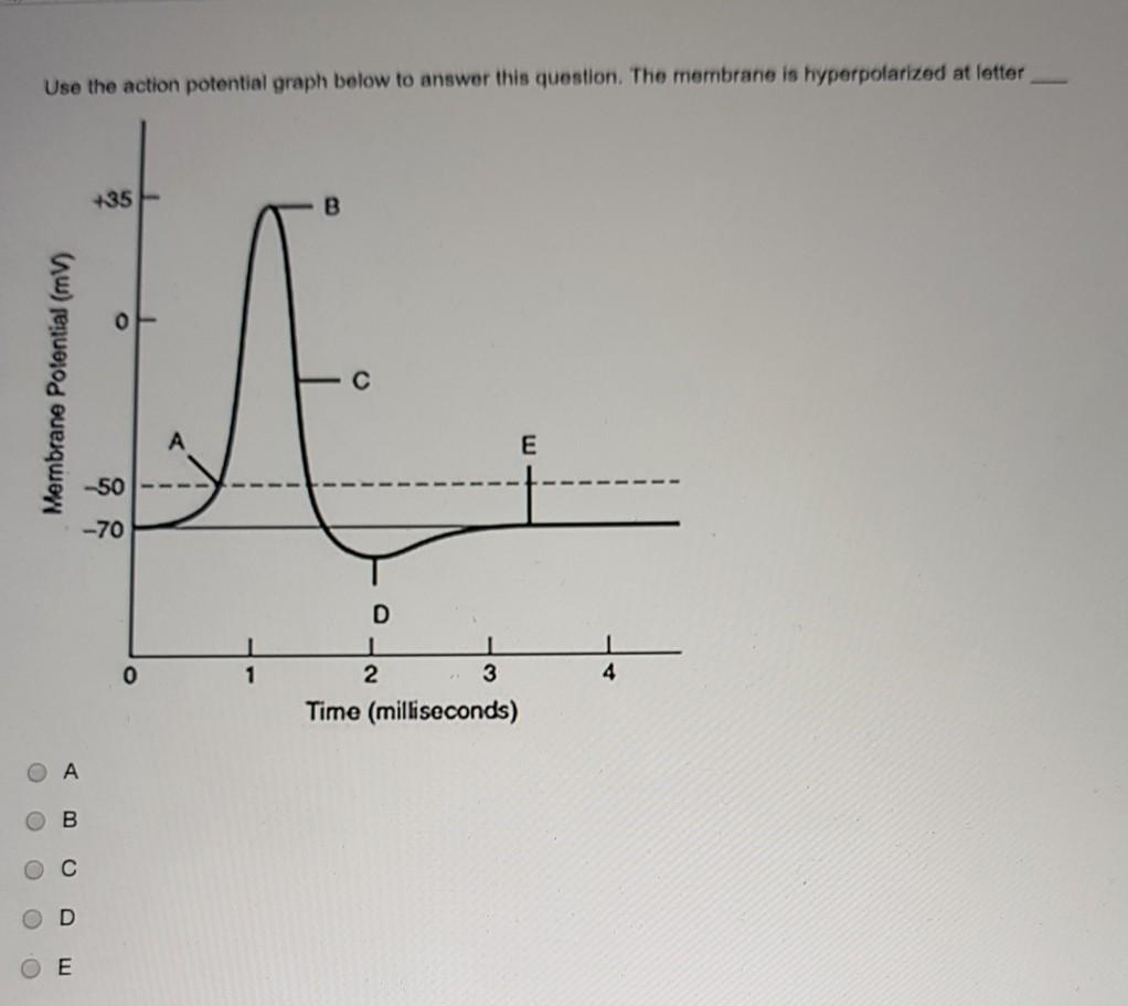 Solved Use the action potential graph below to answer this | Chegg.com